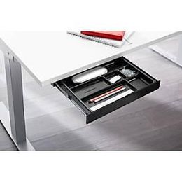 Zubehörschublade , mit Kunststoffeinsatz, B 404 x T 244 x H 42 mm, Stahl beschichtet, schwarz