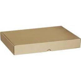 Maxibriefkartons-Versandschachteln, 233 x 170 x 45 mm, 50 Stück
