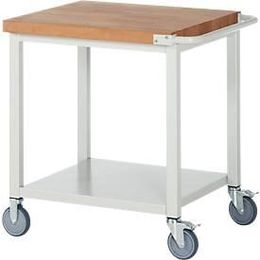 Rau Werkbank Serie 8000, fahrbar, Stahlblech-Ablageboden, B 750 x T 700 x H 880 mm