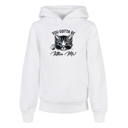 F4NT4STIC Sweatshirt 'K&auml;tzchen You Gotta Be Kitten Me!' boy White size 134-140