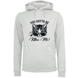 F4NT4STIC Sweatshirt 'K&auml;tzchen You Gotta Be Kitten Me!' male Grey size L