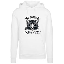 F4NT4STIC Sweatshirt 'K&auml;tzchen You Gotta Be Kitten Me!' Herren Gr&ouml;&szlig;e L dunkelgrau / schwarz / wei&szlig;