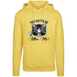 F4NT4STIC Sweatshirt 'K&auml;tzchen You Gotta Be Kitten Me!' Herren Gr&ouml;&szlig;e M gelb / grau / schwarz / wei&szlig;
