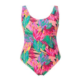 Studio Untold Swimsuit female Mixed colors size 56