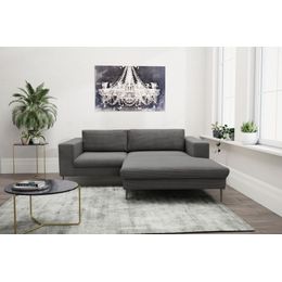 Ecksofa DOMO collection "Modica kompakt und elegant, Breite 244, L-Form", grau, B:244cm H:83cm T:173cm, 100% Polyester, Sofas, Ecksofa, moderne Optik mit extrabreiter Recamiere, auch in Cord