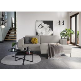 Ecksofa DOMO collection "Modica kompakt und elegant, Breite 244, L-Form", grau (stone), B:244cm H:83cm T:173cm, Sofas, Ecksofa, moderne Optik mit extrabreiter Recamiere, auch in Cord