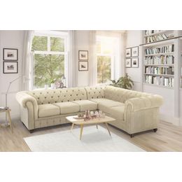 Chesterfield-Sofa Home Affaire "Duc Ecksofa L-Form", beige, B:255cm H:74cm T:214cm, Samtoptik (100% Polyester);Samtoptik (100% Polyester);Luxus-Microfaser Lederoptik (100% Polyester), Sofas, hochwertige Knopfheftung im Rücken, Samtoptik mit changierender Optik