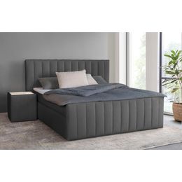Boxspringbett Inosign "Effy inkl. Bettkasten und Topper, erhältlich in der Breite 180x200cm", grau (anthrazit), B:203cm L:217cm, Holz teilmassiv, Holzwerkstoff, Spanplatte, Komplettbetten, wahlweise in H3 oder H4 wählbar