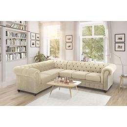 Chesterfield-Sofa Home Affaire "Duc Ecksofa L-Form", beige, B:255cm H:74cm T:214cm, Samtoptik (100% Polyester);Samtoptik (100% Polyester);Luxus-Microfaser Lederoptik (100% Polyester), Sofas, hochwertige Knopfheftung im Rücken, Samtoptik mit changierender Optik