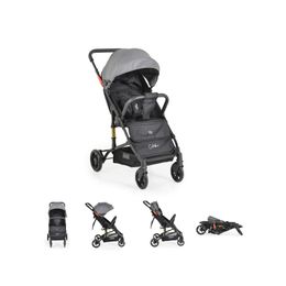 Moni Kinderwagen Buggy Colibri, faltbar, verstellbar, 5-Punkt-Gurt, ab 6 Monaten grau