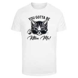 F4NT4STIC T-Shirt 'K&auml;tzchen You Gotta Be Kitten Me!' Herren Gr&ouml;&szlig;e XS basaltgrau / schwarz / wei&szlig;