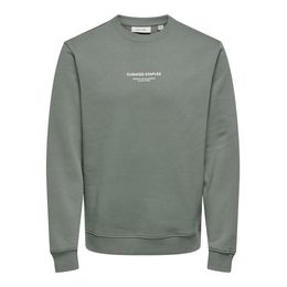 Only & Sons Only & Sons Sweatshirt 'ONSCurated' male Grey size M