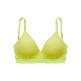 Lascana Bra female Green size 70