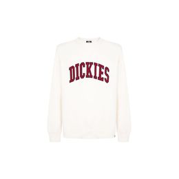Dickies Sweatshirt 'Aitkin' male White size S