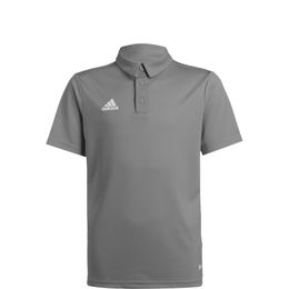 adidas Performance Funktionsshirt 'Entrada 22' Jungen Größe 164 grau / offwhite