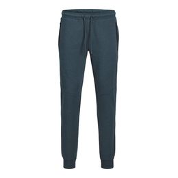 Jack & Jones Jack & Jones Pants 'JPSTWill JJFusion' male Blue size S