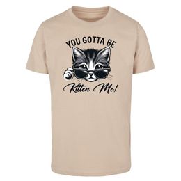 F4NT4STIC Shirt 'K&auml;tzchen You Gotta Be Kitten Me!' male Beige size XXL