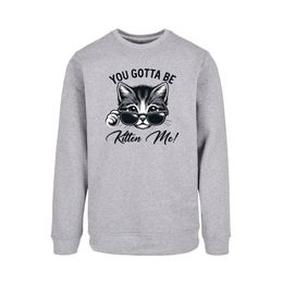 F4NT4STIC Sweatshirt 'K&auml;tzchen You Gotta Be Kitten Me!' Herren Gr&ouml;&szlig;e L grau / schwarz / wei&szlig;