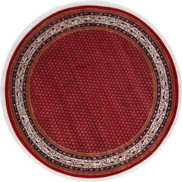Orientteppich Theko, H:12mm Ø:200cm, rot, Schurwolle, Teppiche, "Chandi Mir", reine Wolle handgeknüpft, mit Fransen