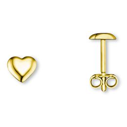 ONE ELEMENT Damen Paar Ohrh&auml;nger "Herz Ohrringe Ohrstecker aus 333 Gelbgold", Damen, Gelbgold 333 Gold, gold, Gelbgold 333, Gold, Ohrringe, Damen