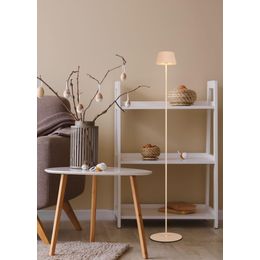 REALITY Suarez Stehlampe LED Beige, 1-flammig
