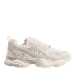 Steve Madden Low-Top Sneaker - Speedster-E - Gr. 38 (EU) - in Grau - f&uuml;r Damen