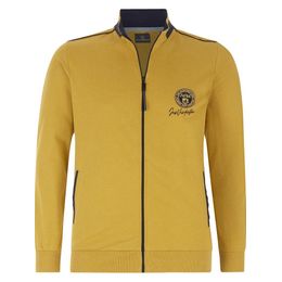 Jan Vanderstorm Sweatjacke 'Andtarsen' Herren Größe 5XL blau / dunkelgelb