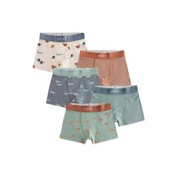 next Underpants boy Blue, Red, White size 5-6 yrs