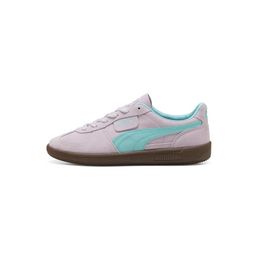 Puma Sneaker 'Palermo' Herren Gr&ouml;&szlig;e 36 t&uuml;rkis / flieder