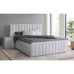 Boxbett Inosign "Effy inkl. Bettkasten und Topper, erhältlich in der Breite 180x200cm", grau (hellgrau), B:203cm L:217cm, Holz teilmassiv, Holzwerkstoff, Spanplatte, Komplettbetten, verschiedene Härtegrade wählbar, Topseller