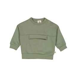 M&uuml;sli by GREEN COTTON M&uuml;sli by GREEN COTTON Sweatshirt Jungen Gr&ouml;&szlig;e 80 gr&uuml;n