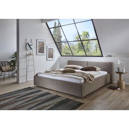 Meise Möbel Polsterbett MEISE.MÖBEL "Cube wahlweise mit Matratze und Bettkasten", grau (taupe, taupe), B:220cm L:227cm, Betten, extra flaches Kopfteil, erhältlich in den Breiten 140cm, 160cm & 180cm