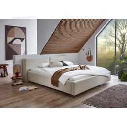 Meise Möbel Polsterbett MEISE.MÖBEL "Cube wahlweise mit Matratze und Bettkasten", beige (beige, beige), B:220cm L:227cm, Betten, extra flaches Kopfteil, erhältlich in den Breiten 140cm, 160cm & 180cm