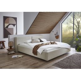 Meise Möbel Polsterbett MEISE.MÖBEL "Cube wahlweise mit Matratze und Bettkasten", beige (beige, beige), B:220cm L:227cm, Betten, extra flaches Kopfteil, erhältlich in den Breiten 140cm, 160cm & 180cm