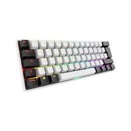 Sharkoon SKILLER SGK50 S4 Gen2, Gaming-Tastatur wei&szlig;, DE-Layout, Gateron Yellow