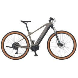 Prophete Dice 3.0 E-MTB E-Bike 29"