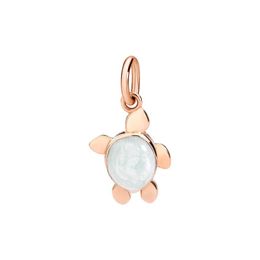 DoDo Charm DoDo Nature DMC0027TURTLEPA9R0