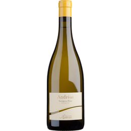 Andrius Sauvignon, Alto Adige DOC, Südtirol, 2023, Weißwein