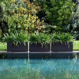 Casaria Blumentopf Ethica 4er-Set Anthrazit Kunststoff 80x36x36cm