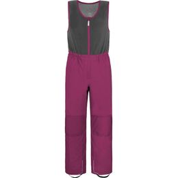 Normani Outdoor Pants 'Carmacks' boy Purple size 134-140