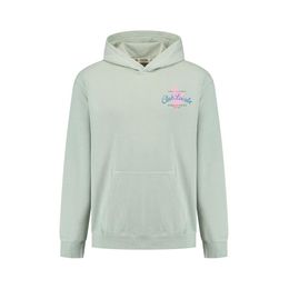 Shiwi Sweatshirt 'Zac Paradise' Herren Gr&ouml;&szlig;e XL blau / mint / rosa / schwarz