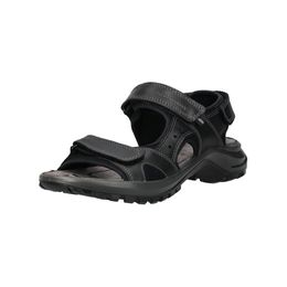 IGI&CO Igi&co Hiking Sandals male Black size 42