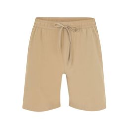 Quiksilver Board Shorts 'TAXER AM' male Beige size XL