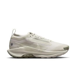 Nike Pegasus Trail 5 GTX Schuhe Damen grau 40.5