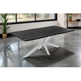 Esstisch 200x100 cm Baumkante Holz Grau-Optik Spider-Gestell Metall silber JOSY