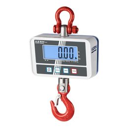 Kern Kranwaage HCD 300K-1, Wägebereich 300 kg, Ablesbarkeit 100 g ; KERN & Sohn)