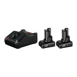 Bosch Akku Starter-Set: 2 x GBA 12 Volt 6,0 Ah und GAL 12V-40 (1600A01B20)