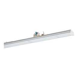 Ridi-Leuchten LED-Ger&auml;tetr&auml;ger 5NDWS840B1500-RF VLGFP1502#1551104)