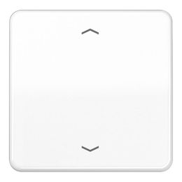 Jung Steuertaste Standard Symbole Pfeile CD 1700 P WW (CD1700PWW)