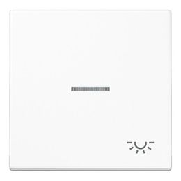 Jung Wippe Sym.LICHT/Lichtl.aw für beleuchtb.Taster LS 990 KO5L WW (LS990KO5LWW)